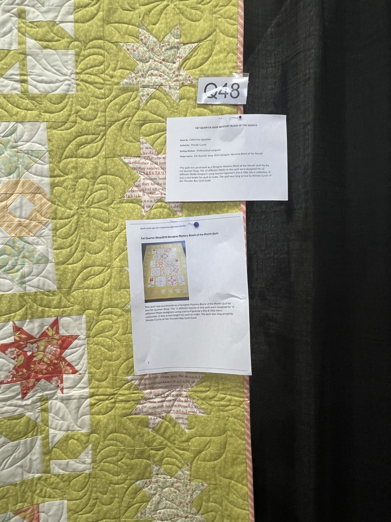 Thunder Bay Quilt Guild Quilt Show 2025 (part 1) – Wendy’s Quilting and ...