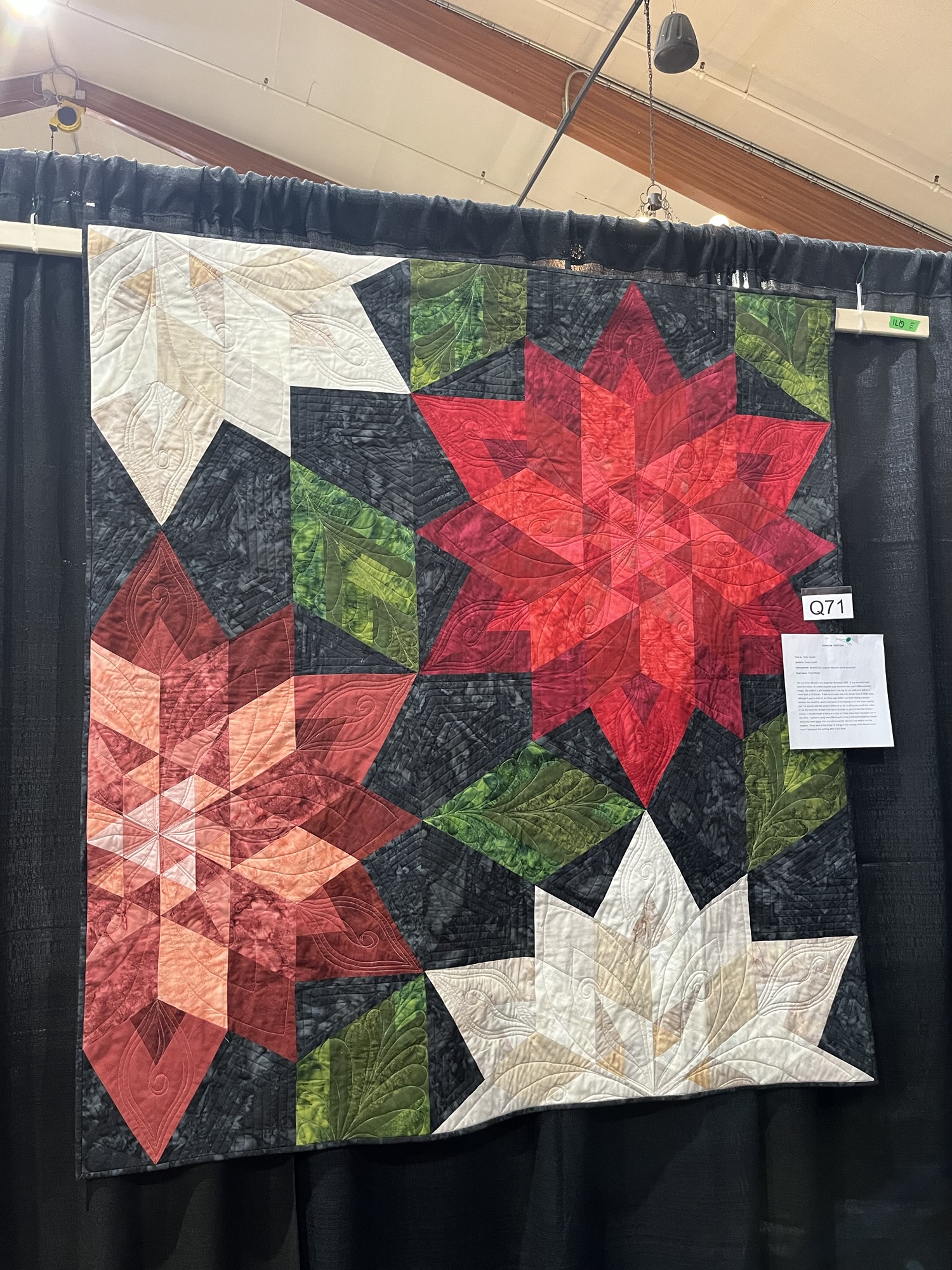 Thunder Bay Quilt Guild Quilt Show 2025 (part 2) – Wendy’s Quilting and ...